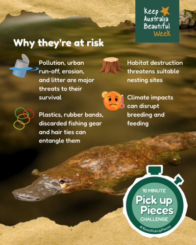 KAB Week 2025 - Keep Australia Beautiful