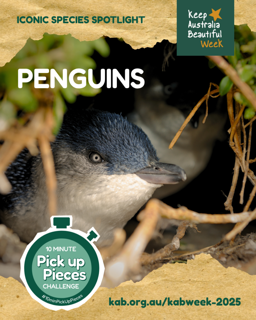 KAB Week 2025 - Keep Australia Beautiful