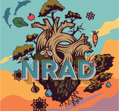 Environmental Calendar - Keep Australia Beautiful