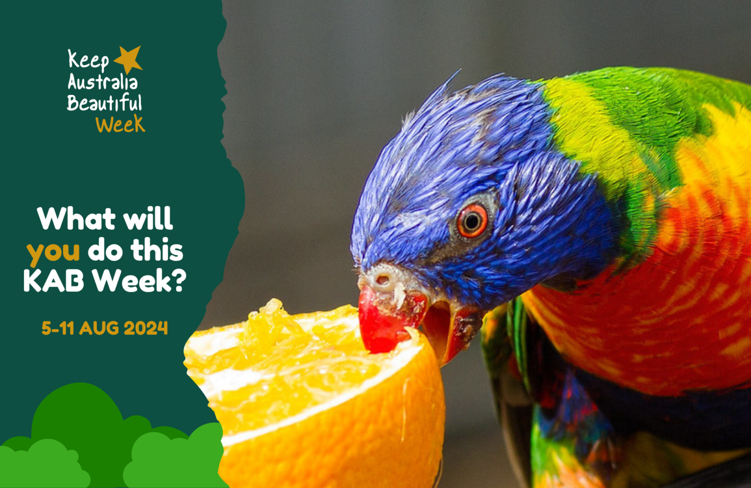 Recycling Solar Panels: Chipping Away at our Mountain of Waste - Keep ...